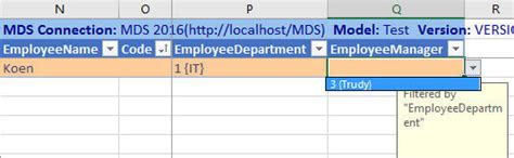 How To Use Attribute Filters In Master Data Services 2016