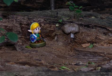 [lahd] Link Found The Mysterious Mushroom R Zelda