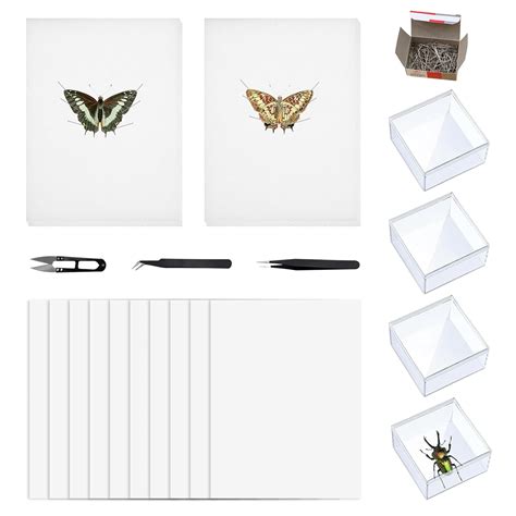 20 Pcs Insect Specimen Tools Kit 4 Clear Display Case Box 10 Sheets
