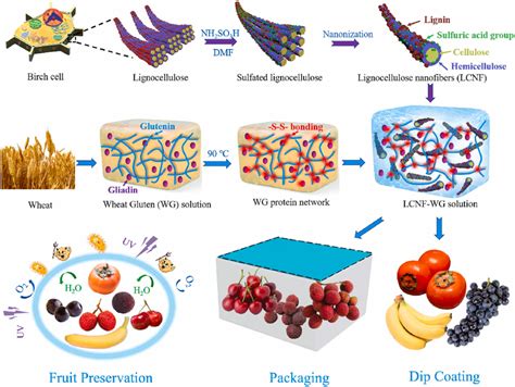 Schematic Illustration Of Preparation For Lignocellulose Nanofibers