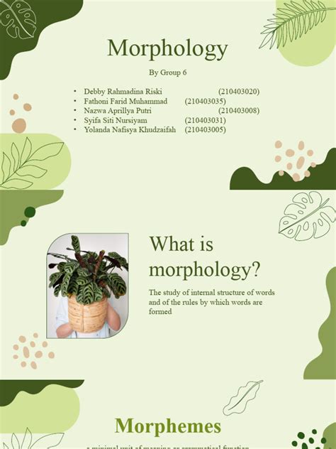 Morphology Group 6 Pdf Word Morphology Linguistics