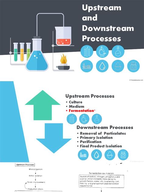 Upstream Vs Downstream Difference Between Upstream Midstream And