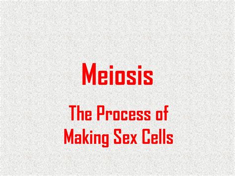 The Process Of Making Sex Cells Ppt Download