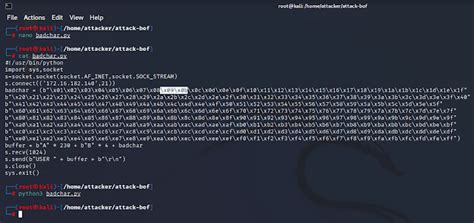 O Ataque De Buffer Overflow