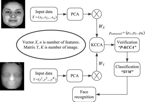 The Principle Of P Kcca Algorithm Using Svm Download Scientific Diagram