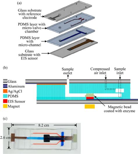 Color Online A Schematic Illustration Of Microfluidic Chip Design Download Scientific