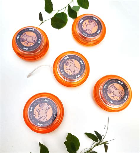 Ioiô Curitiba Na Bagagem