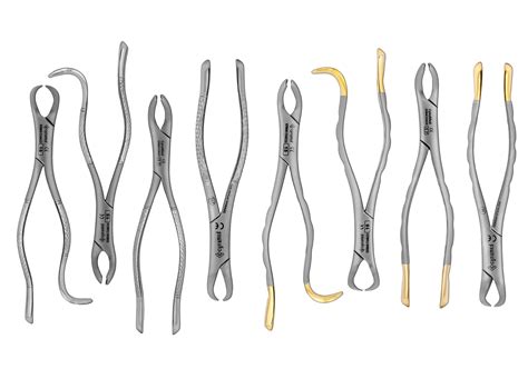 Dental Extraction Forceps Size 16 17 23 Mandibular Lower