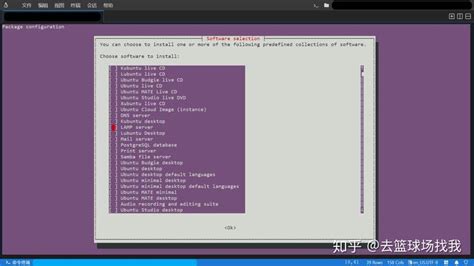 阿里云ecs主机部署lamp环境 知乎