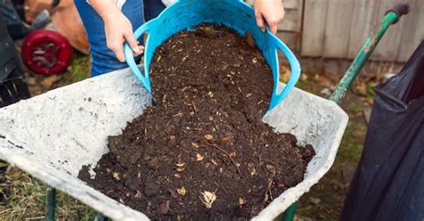How Does Composting Work