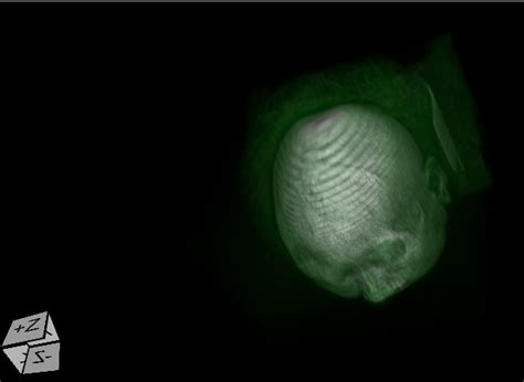 Orientationmarkerwidget Opacity Issue · Issue 1244 · Kitwarevtk Js