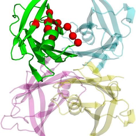 A Distribution Of Rmsd Between Ttr Tetramer Ligand Free Structure And Download Scientific