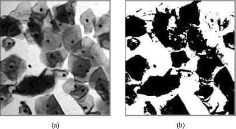 Cell Cluster Extraction A Original Image B Result Obtained By The