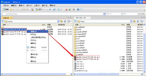 linux上部署tomcat及web项目（亲测） linux下tomcat csdn博客