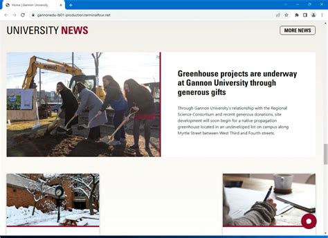 Cross Browser Gannon University Terminalfour Designs
