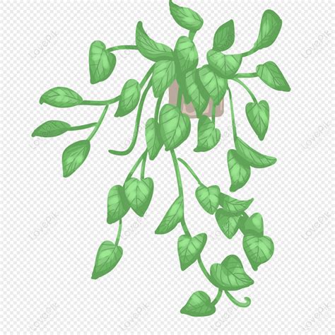 손으로 그린 그린 무 Png 일러스트 무료 다운로드 Lovepik
