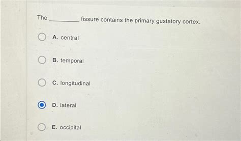 Solved The Fissure Contains The Primary Gustatory Cortexa
