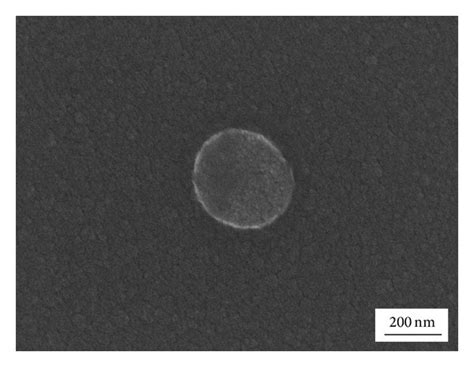 A Scanning Electron Microscopy Sem Image And B Atomic Force