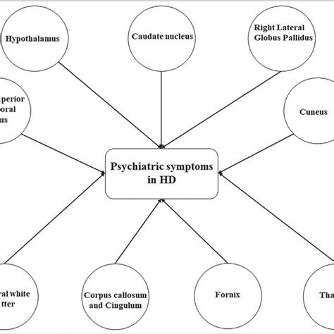 Schematic Diagram Showing The Gray Matter And Wm Abnormalities In
