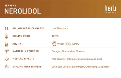 What Are Cannabis Terpenes How Smell Affects Weed Herb Approach