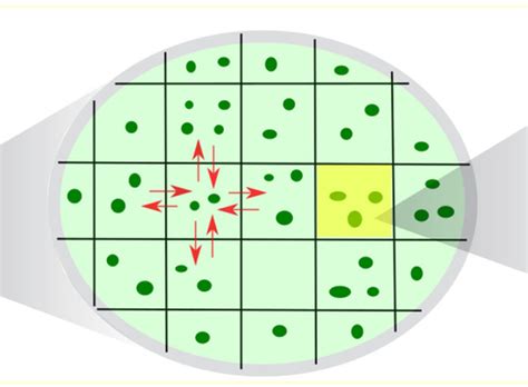 Spatial Patterns Emerging From A Stochastic Process Near Criticality Liph