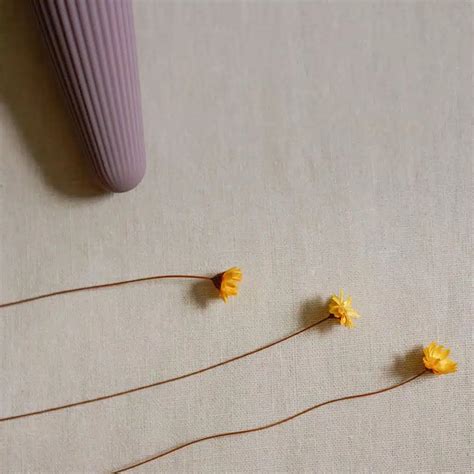 Ambrette Vibrator Natural Living