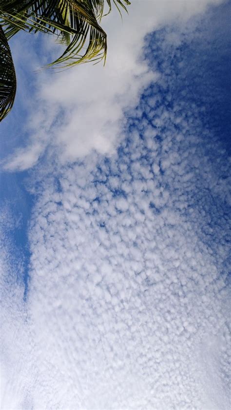 Gambar Langit Pagi Price 7