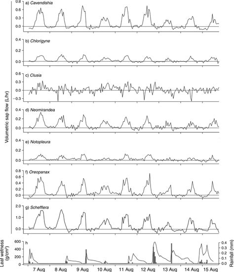 Volumetric Sap Flow For Seven Common Canopy Species In The Tmcf Of