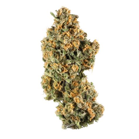 Blueberry Lemonade Weed Strain Information Leafly