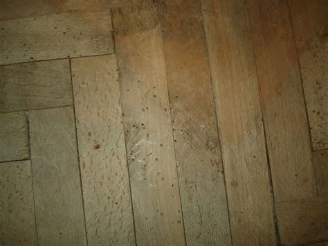 Cari De Lemn In Parchet Din Stejar Masiv Botanistii