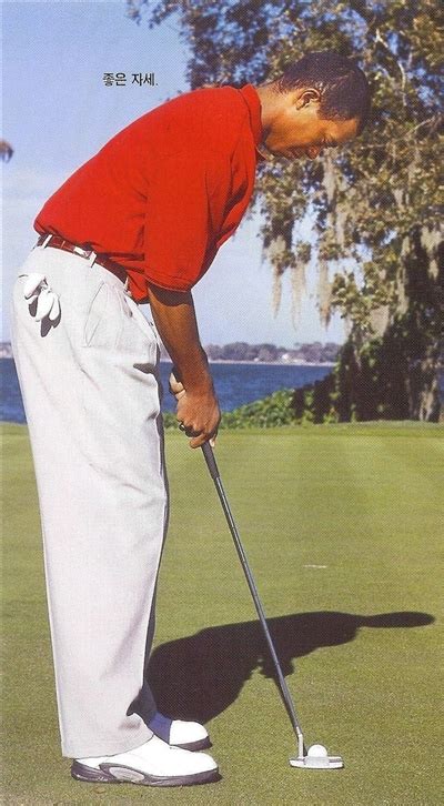타이거우즈 퍼팅 자세 퍼팅 어드레스 퍼팅 셋업 퍼터길이와 키의 상관관계 퍼터 구부러진 정도 172cm 최경주 네이버 블로그