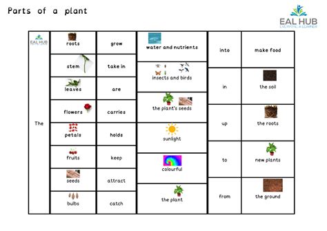Substitution Tables Eal Hub