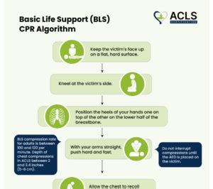 Adult BLS Algorithm ACLSNow