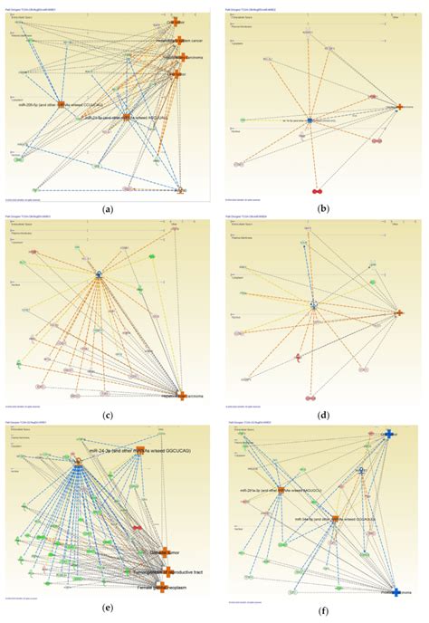 Microrna Mirna Regulated Networks In Intestinal And Diffuse Type