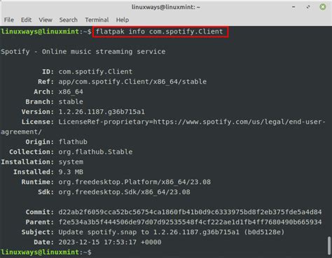 How To Install And Use Flatpak On Linux Mint LinuxWays