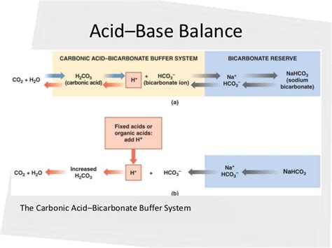 Acid base balance
