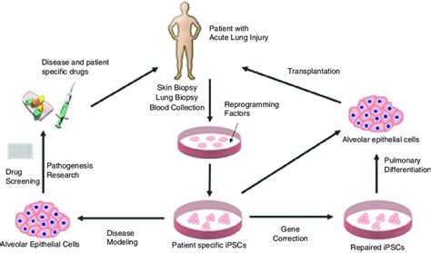 Ipsc Generation Biocytoceuticals