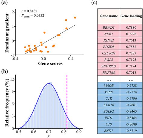 Functional Hierarchy Of The Angular Gyrus And Its Underlying Genetic Architecture Pmc