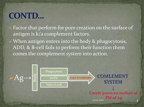 complement system ppt