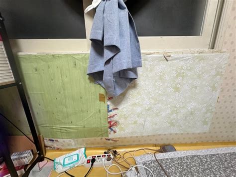 아파트 벽 석고보드 보수 비용 질문입니다 지식in