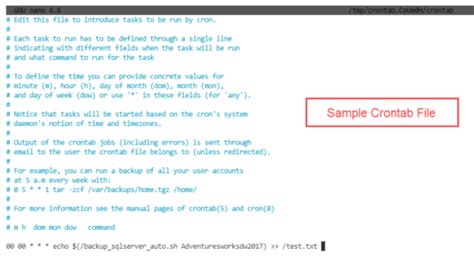 Connecting SQL Server Using Sqlcmd And Bash Script Prisoft Technology