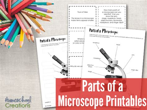 Microscope Labeling Worksheet 7ac Microscope Labelling Worksheet