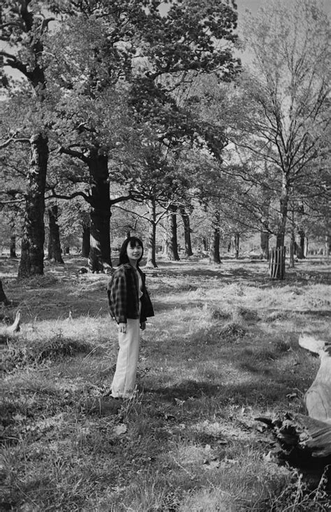 Rca2023 黄山 Shan Huang