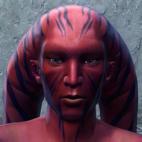 Zenith Customization 8 Customization