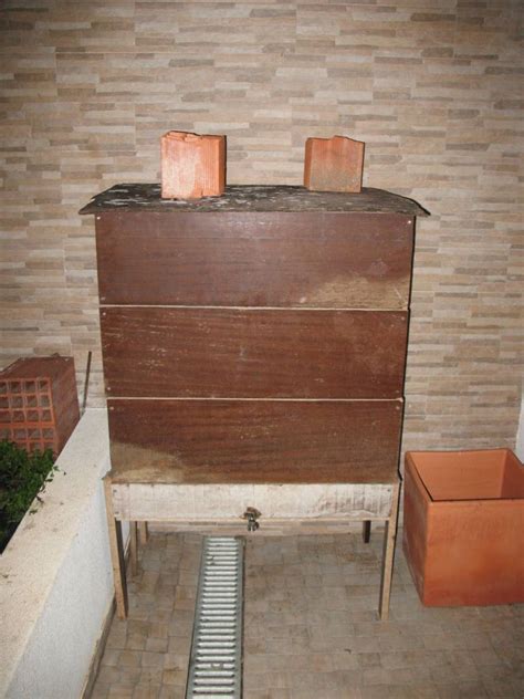 Vermicomposting Bin Horta Biológica