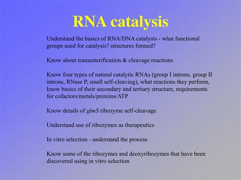Ppt Rna Catalysis Powerpoint Presentation Free Download Id5086660
