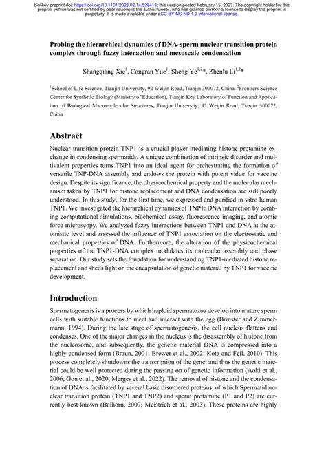 PDF Probing The Hierarchical Dynamics Of DNA Sperm Nuclear Transition Protein Complex Through