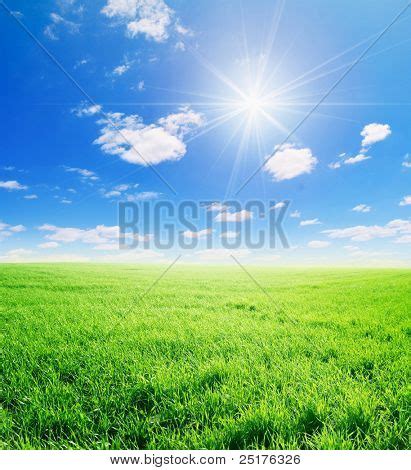 Green Grass Sun Sky Image And Photo Free Trial Bigstock