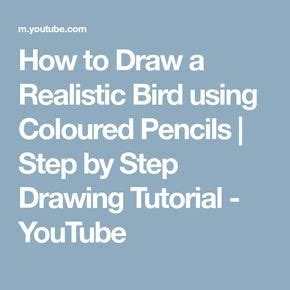 How To Draw A Realistic Bird Using Coloured Pencils Step By Step Drawing Tutorial YouTube