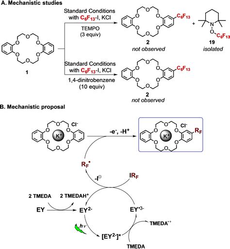 Late‐stage Photocatalytic Fluoroalkylation Of Aromatic Crown Ethers In Aqueous Media Yerien